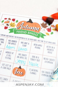 Fall Friend Bingo - perfect icebreaker game - Aspen Jay