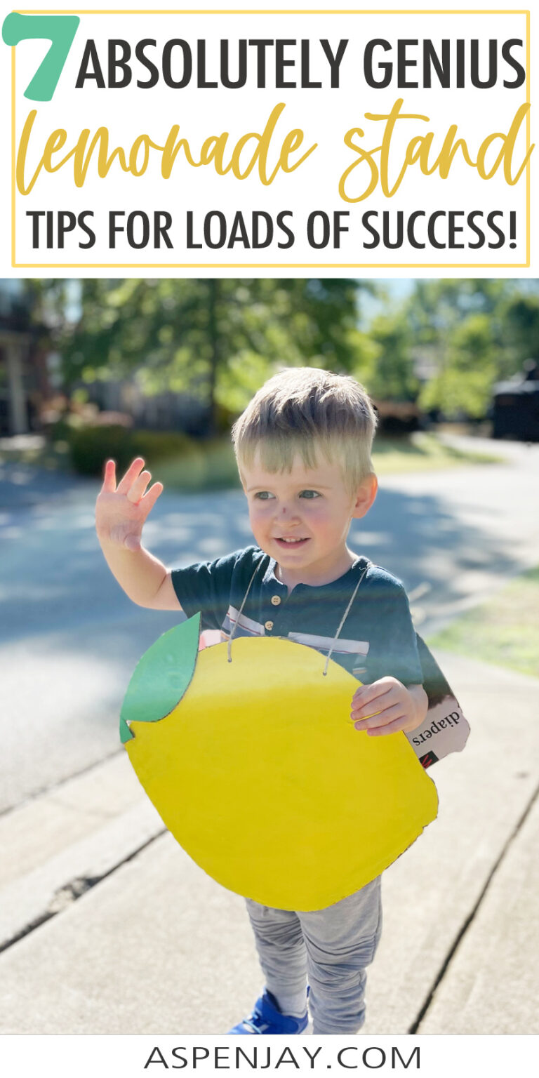7 Lucrative Lemonade Stand Ideas for Tons of Success - Aspen Jay