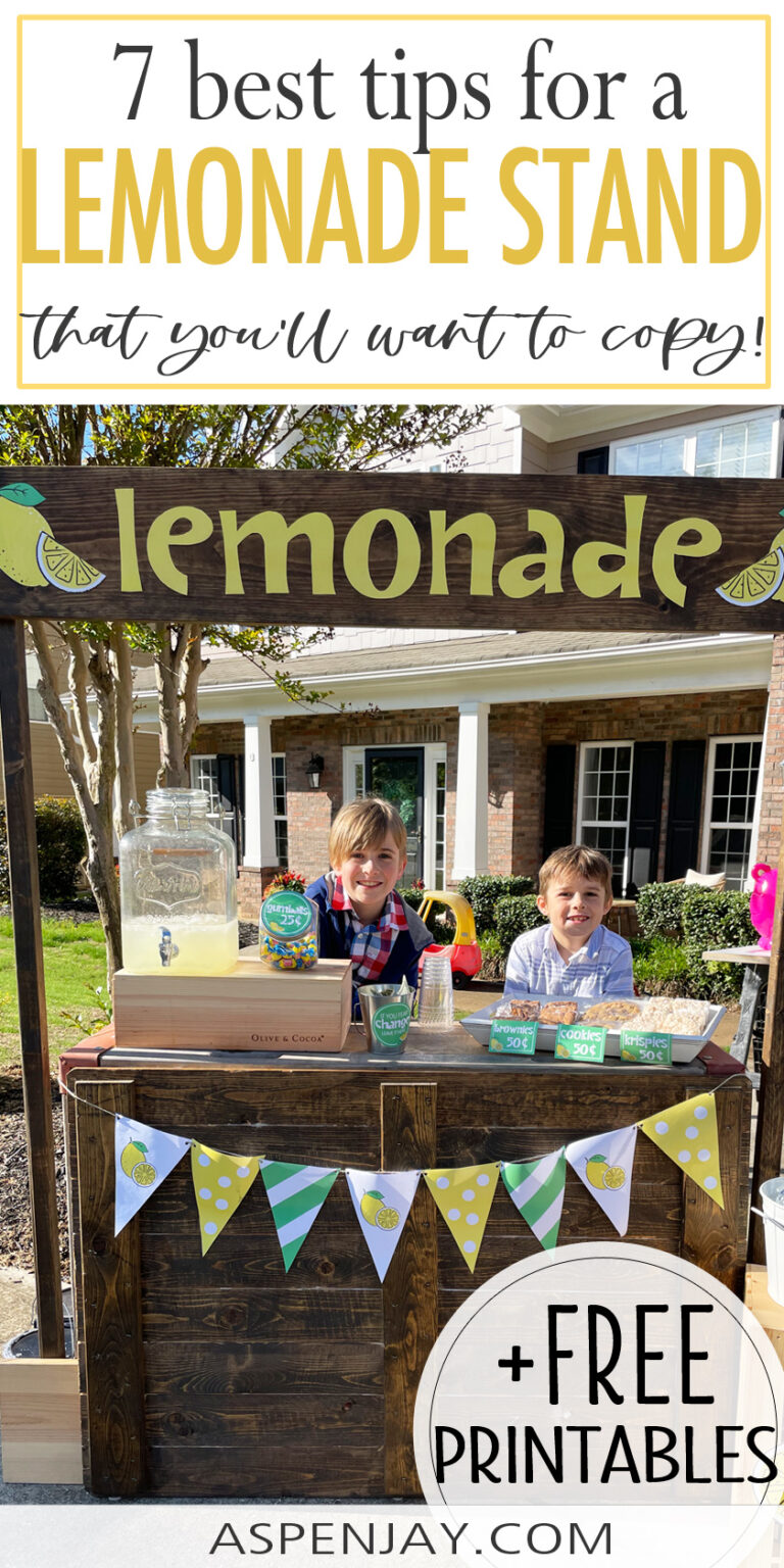 7 Lucrative Lemonade Stand Ideas for Tons of Success - Aspen Jay