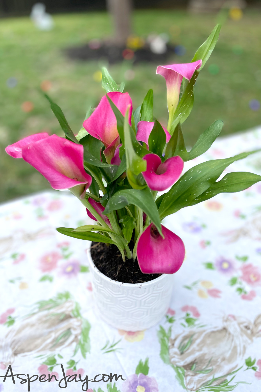 25 Backyard Easter Party Ideas – Breakfast, Decor & Egg Hunt Fun ...